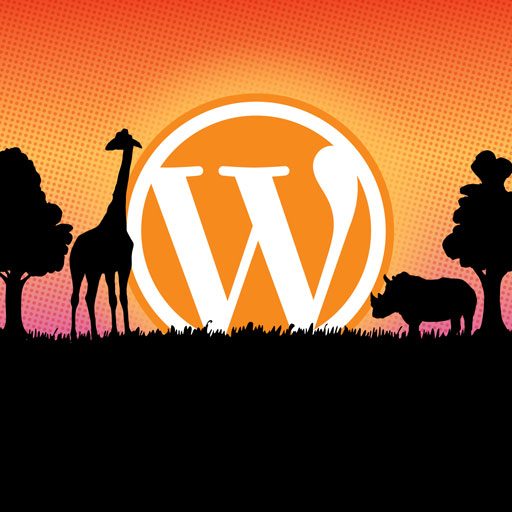 Complexe platformen met WordPress – WordCamp Nederland 2022